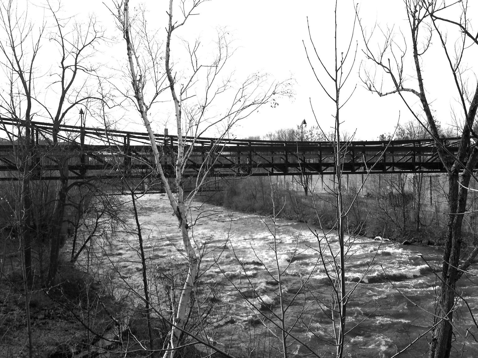 Jay Lucas – Media Nation